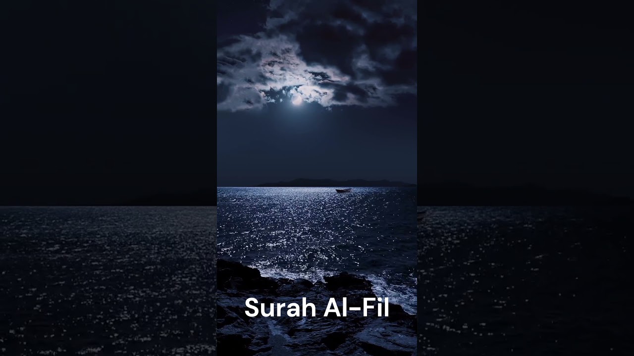 Surah Al Fil quran quranrecitation qurantilawat alfil