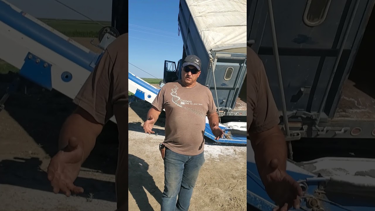 Tips On Solubilizing Urea