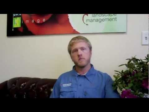 Best Chemical Weed Control Methods.mp4
