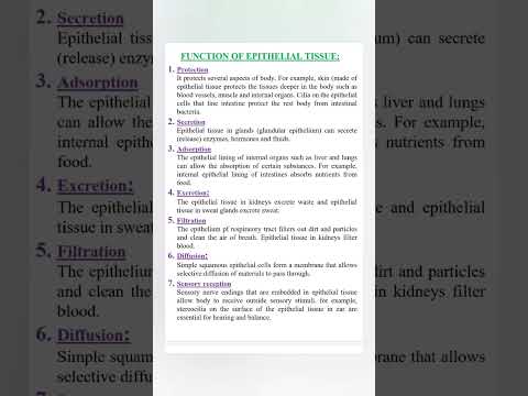 #function of epithelial tissue