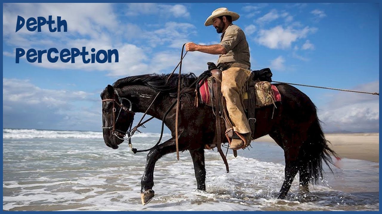My Horses Whisper - Depth Perception