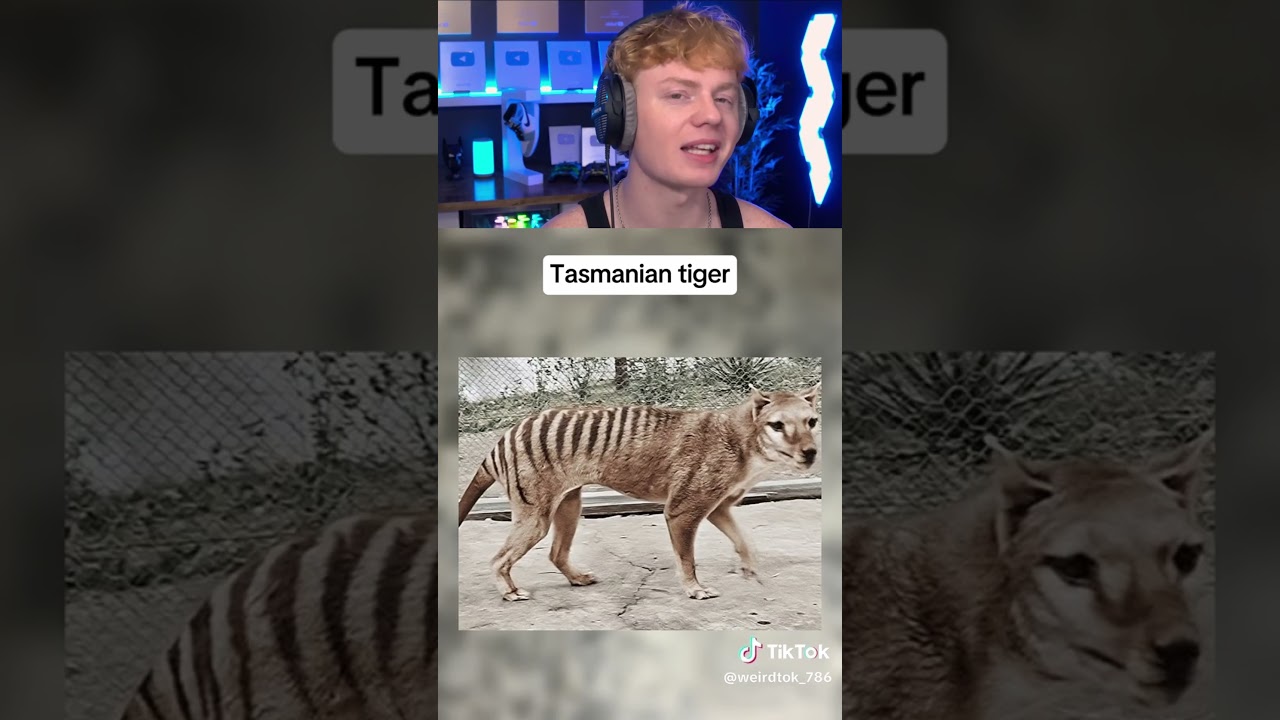 Extinct Animals Caught on Camera! 😨