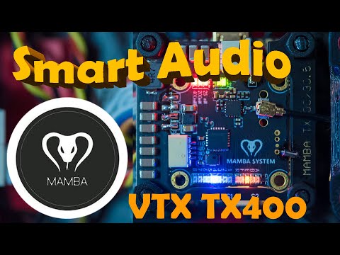 Diatone - Mamba - Mamba VTX TX400 Manufacturer from New Delhi