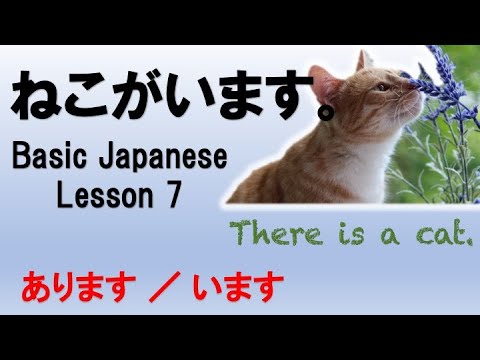 Japanese Grammar Module Lesson 7 There is… / There are… ~ga arimasu / ~ga imasu があります/ がいます