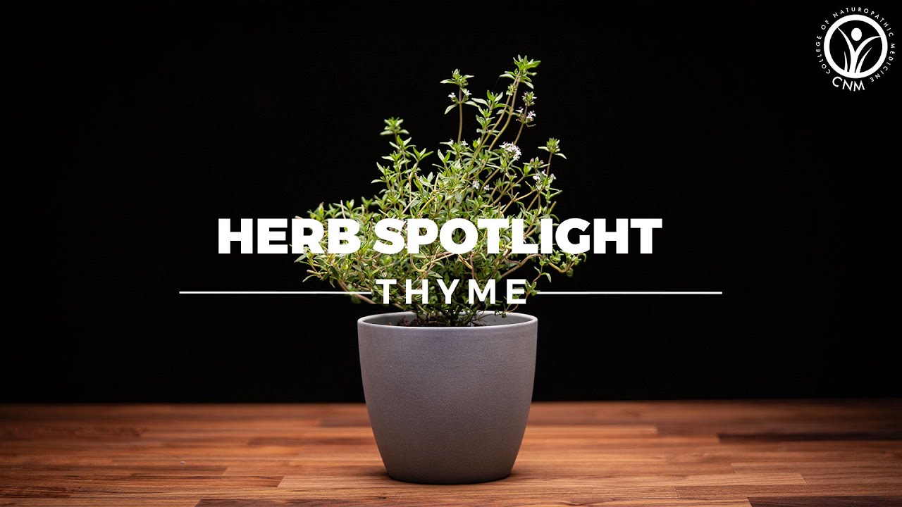 TOP 5 BENEFITS OF THYME - HERB SPOTLIGHT