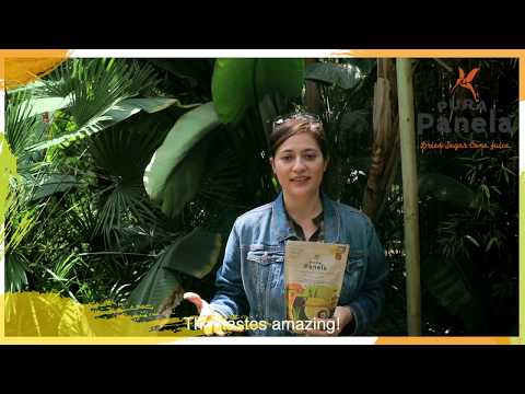 What is Panela?
