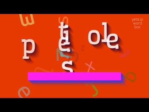 How to say "petioles"! (High Quality Voices)