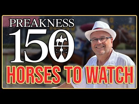 3 HORSES TO WATCH | 2025 Preakness Stakes Picks, Predictions and Odds