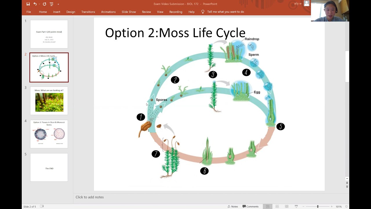 Lab Exam 1 PowerPoint Video