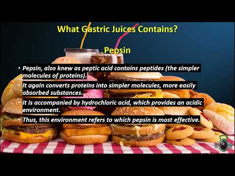 Gastric juice || What does Gastric juice contains in your stomach || Phases of gastric juice