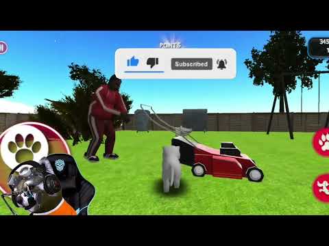 Game cat simulator,funny cat,game online(2022)kucing lucu