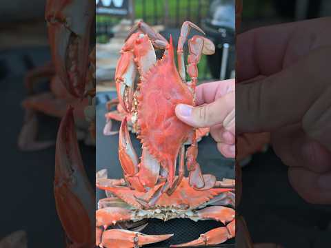 How to eat Blue Crab