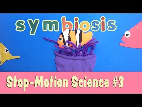 What's Symbiosis? Stop-motion animation science lesson for kids