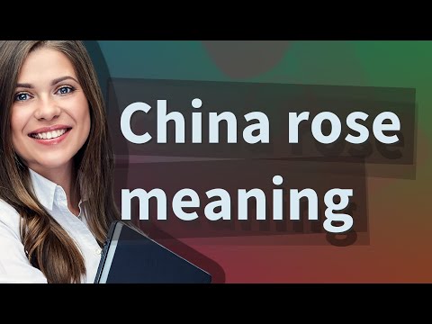 China rose | meaning of China rose