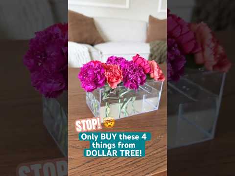 🫢4 PRODUCTS to only BUY from 👉🏻Dollar Tree! #organization #home #dollartree
