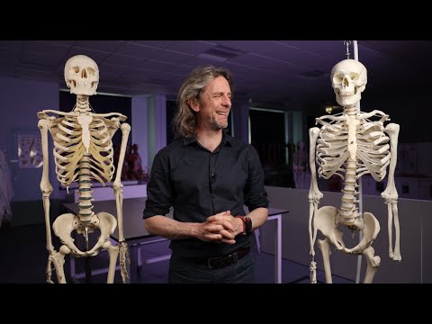 Movements of the scapula (anatomy)
