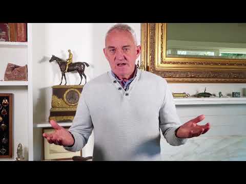 What is ESI? (Equitation Science International)