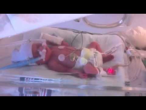 “Talkin’ Baseball” (Boston Red Sox version), by Terry Cashman ...