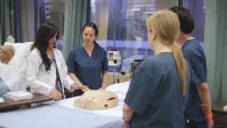 Laboratory Coordinator Overview | What is a laboratory coordinator ...