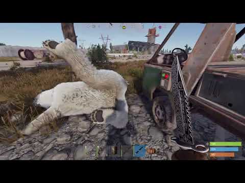 Steam Community :: Video :: Rust Wastelands (US)