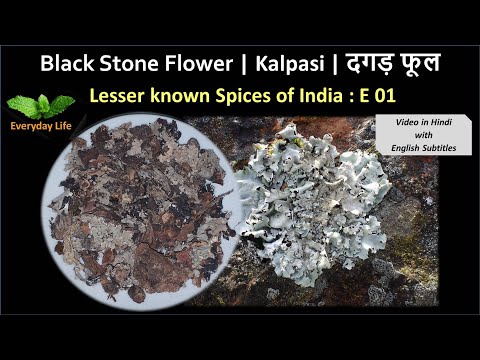 Black Stone Flower - Stone Flower Latest Price, Manufacturers & Suppliers