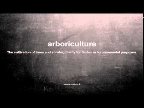 What does arboriculture mean
