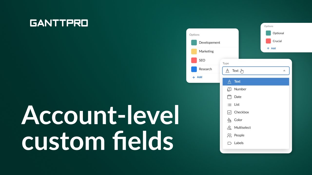 How to manage custom fields at the account level in GanttPRO