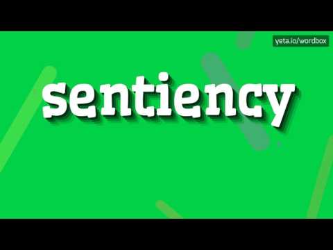 SENTIENCY - HOW TO PRONOUNCE IT!?