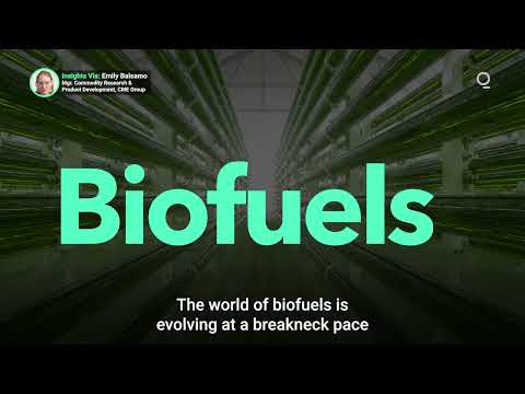 How Is Global Production of Biofuels Accelerating?
