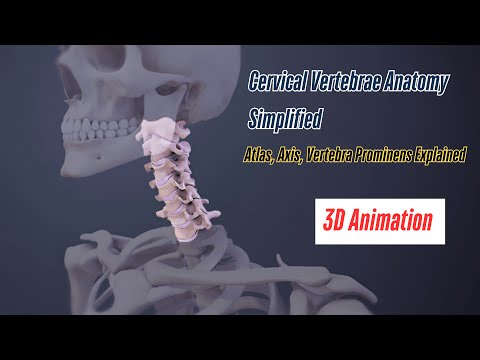 Cervical Vertebrae Anatomy Simplified | Atlas, Axis, Vertebra Prominens Explained