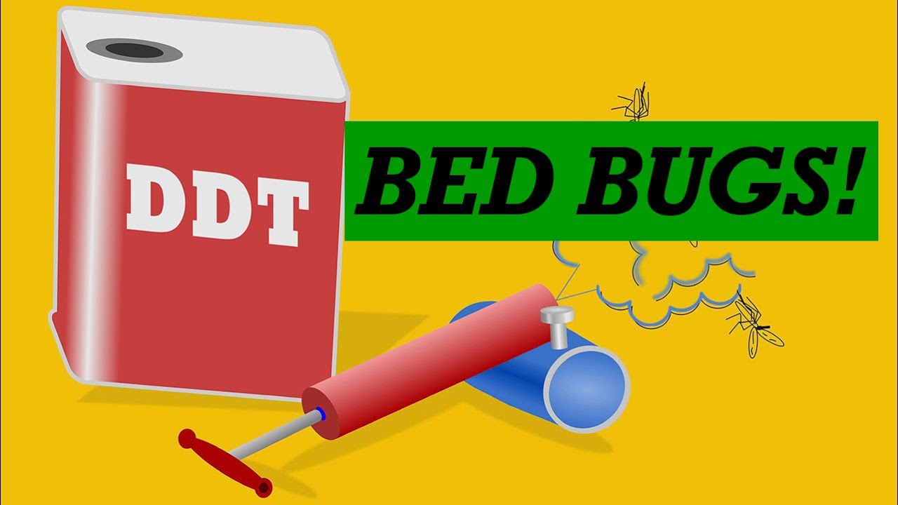 Why are BED BUGS so HARD to eliminate? - Reasons and Solutions in 2026