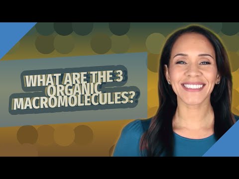What are the 3 organic macromolecules?