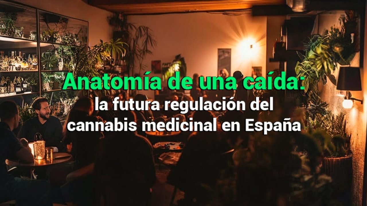 Anatomía de una caída: la futura regulación del cannabis medicinal en España