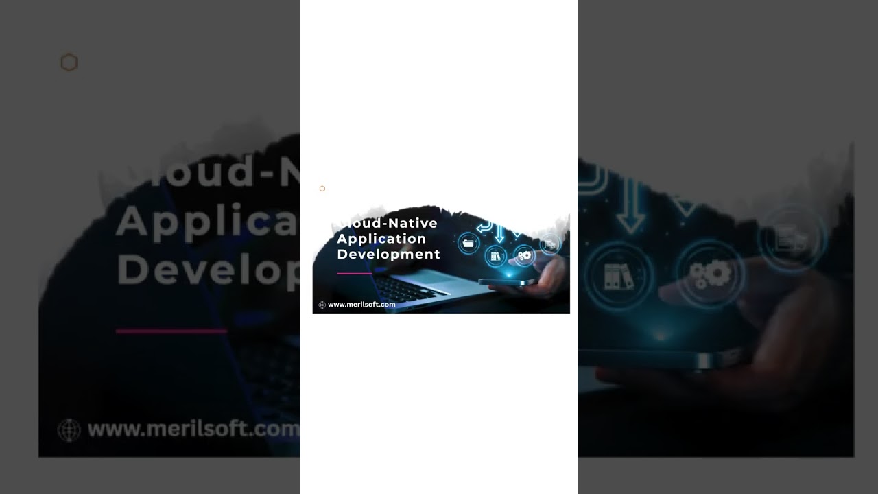 Merilsoft | Custom Software Solutions