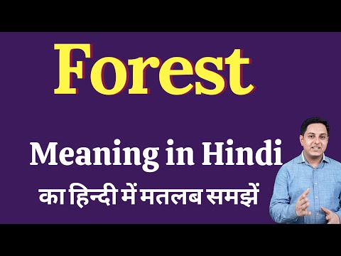 Forest meaning in Hindi | Forest ka kya matlab hota hai | daily use English words