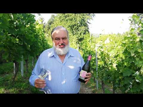 Ascheri Langhe Arneis 2020