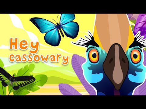 Hey Cassowary Song #animalsongsforkids #songsforkids #educationalsongs