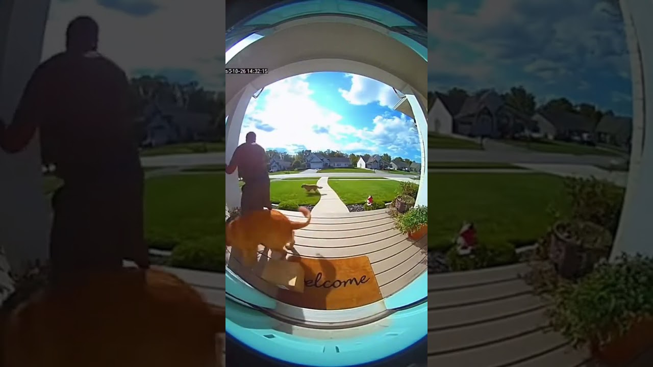Delivery Driver's Scanner Snatch: Caught on Doorbell Cam