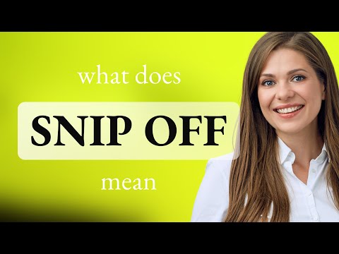 Snip off • what is SNIP OFF definition