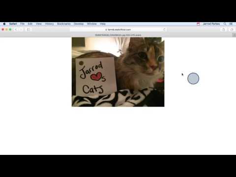 Web Services and APIs
