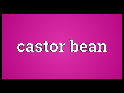 Castor bean Meaning