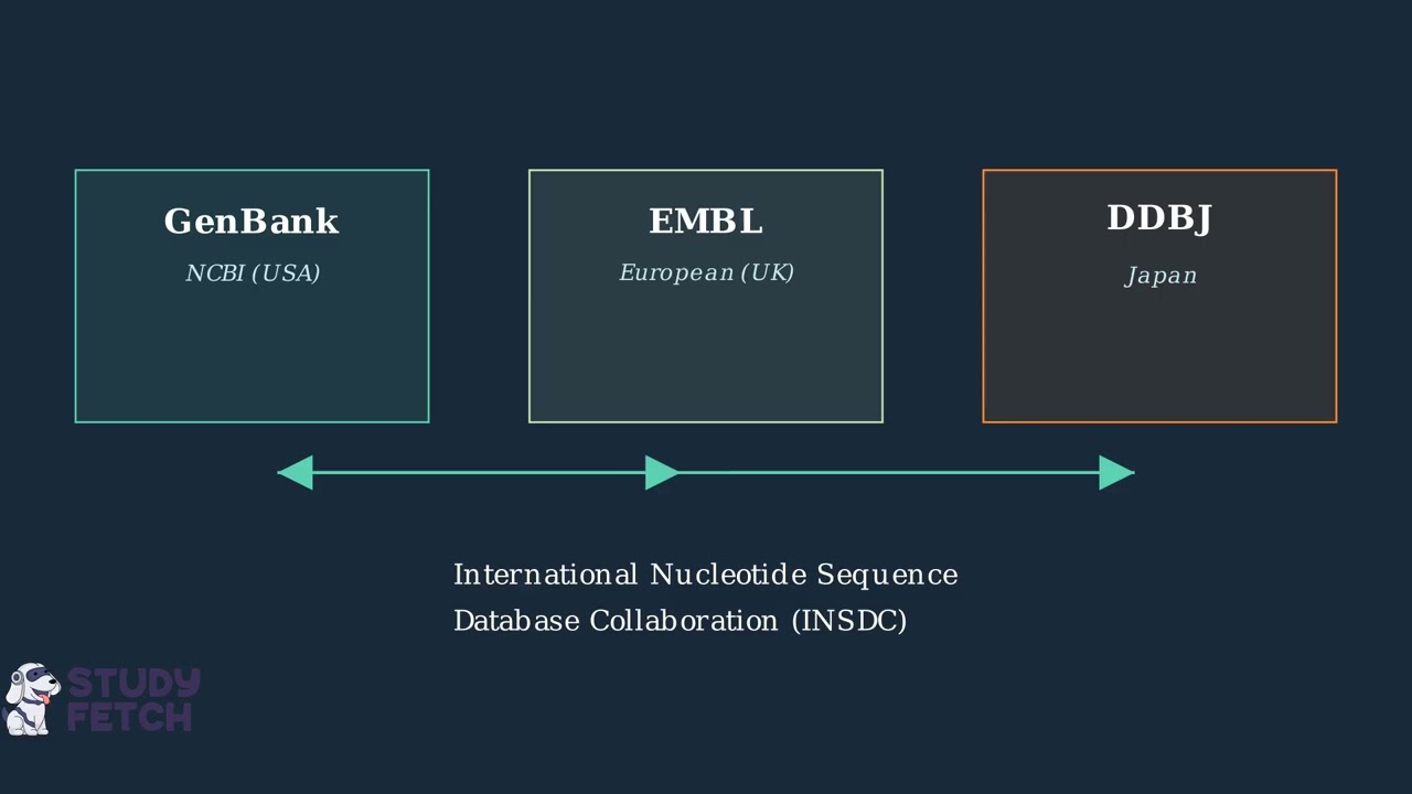 Bioinformatics Databases Explained