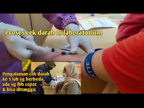 Cara cek darah ke laboratorium - Proses cek darah - Biaya cek darah ke lab - Hasil cek lab lbh cepat