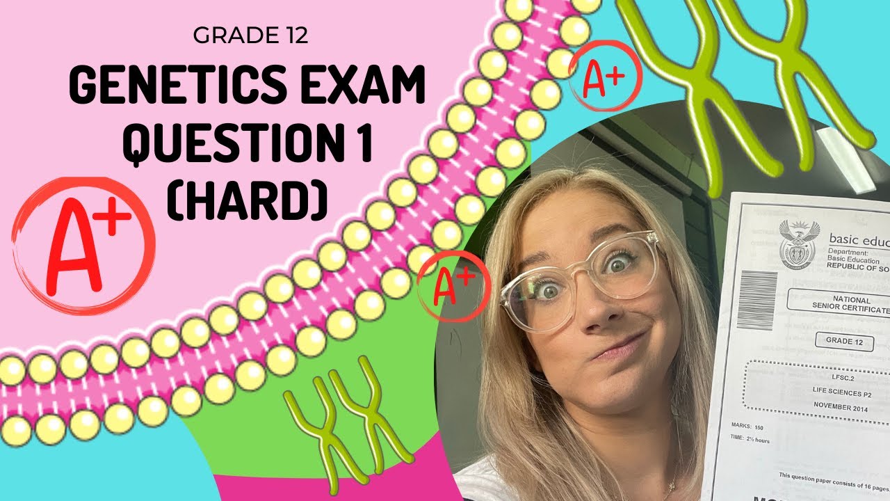 Genetics- DIHYBRID EXAM Q1  (HARD) | Get an A+ in EXAMS