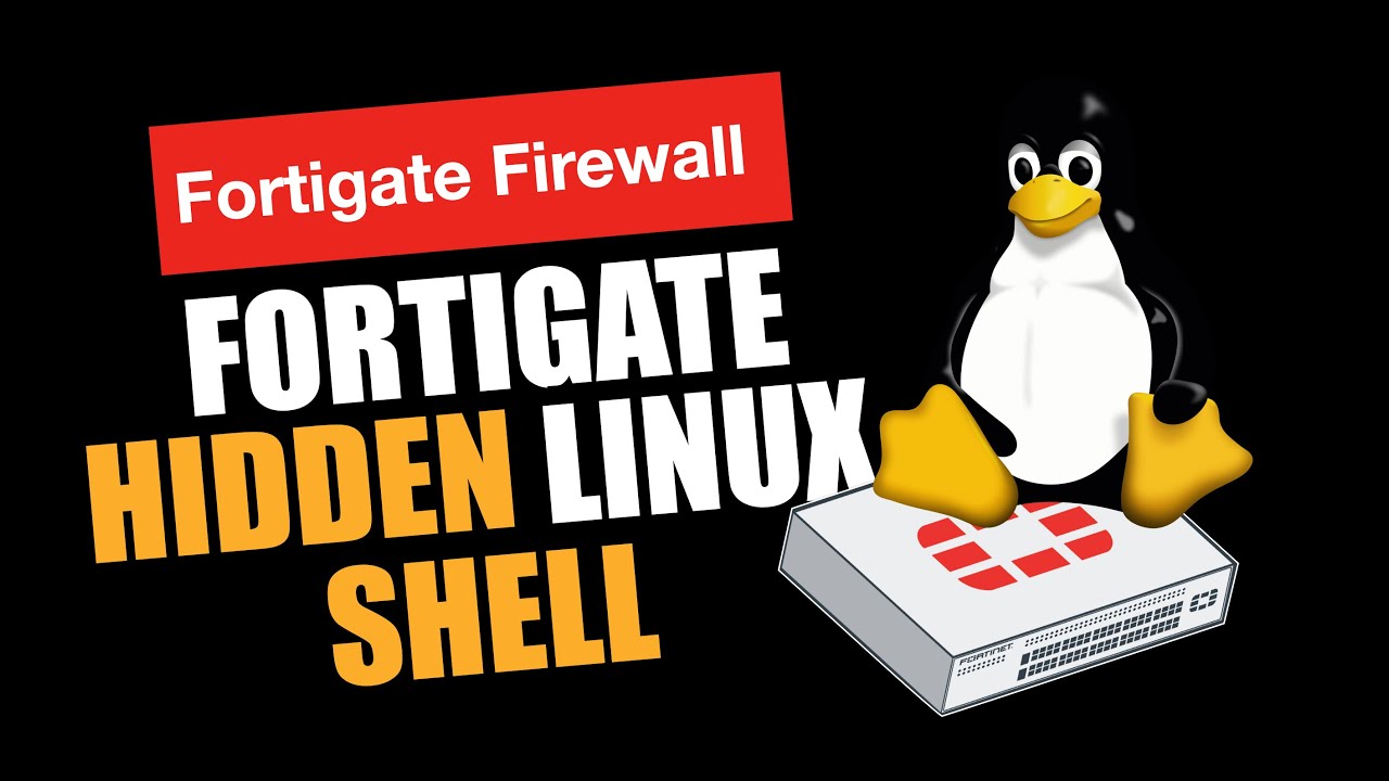 The Hidden Linux Shell