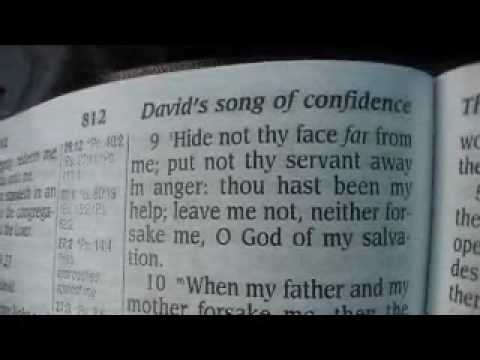 Psalm 27 King James Holy Bible