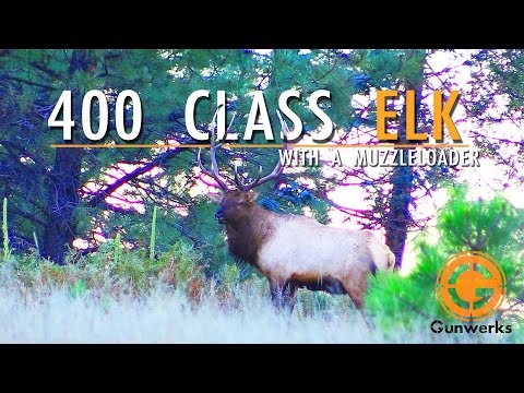 Massive Bull Elk Taken with a Muzzleloader | Gunwerks