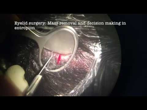 Ophthalmology Master Class Cardiff, Park Vets, Sanatorium Road Cardiff, CF11 8DG