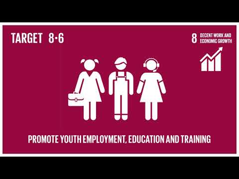 SDG Target #8.6