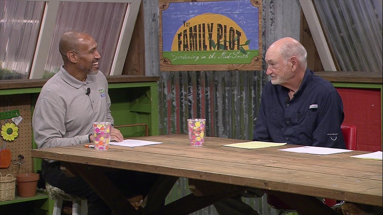 The Family Plot - May 17, 2025